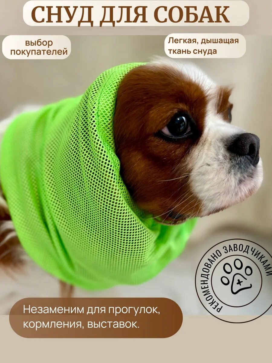 Снуд для собак шапочка спаниеля