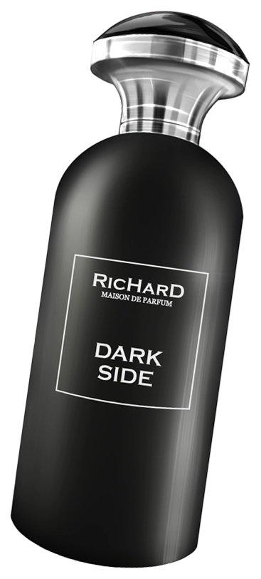 Аромат Ричард Дарк Сайд для женщин и мужчин 100 мл - Richard Dark Side парфюмерная вода