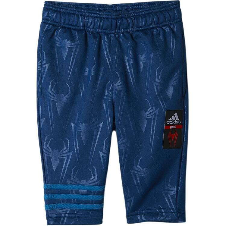 Брюки спортивные Adidas Active
