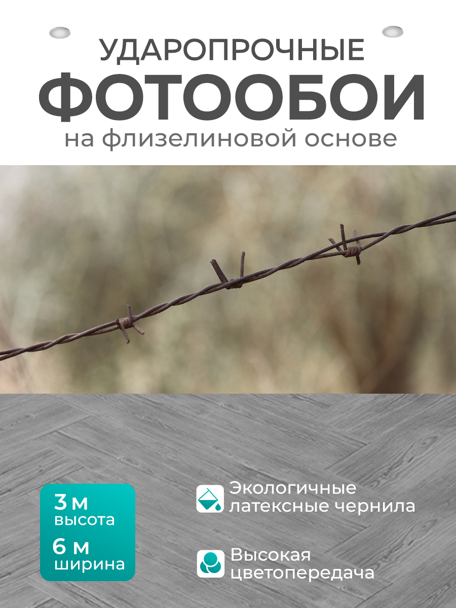 Фотообои моющиеся ударопрочные "Колючая проволока, провод, колючей проволоки" 600x300 см. флизелиновые на стену