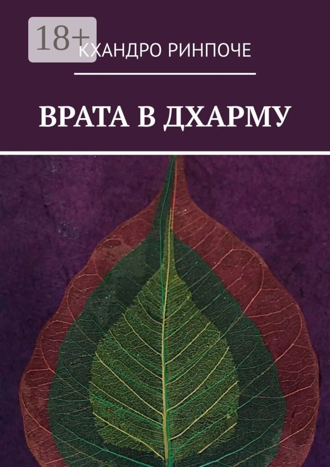 Врата в Дхарму [Цифровая книга]