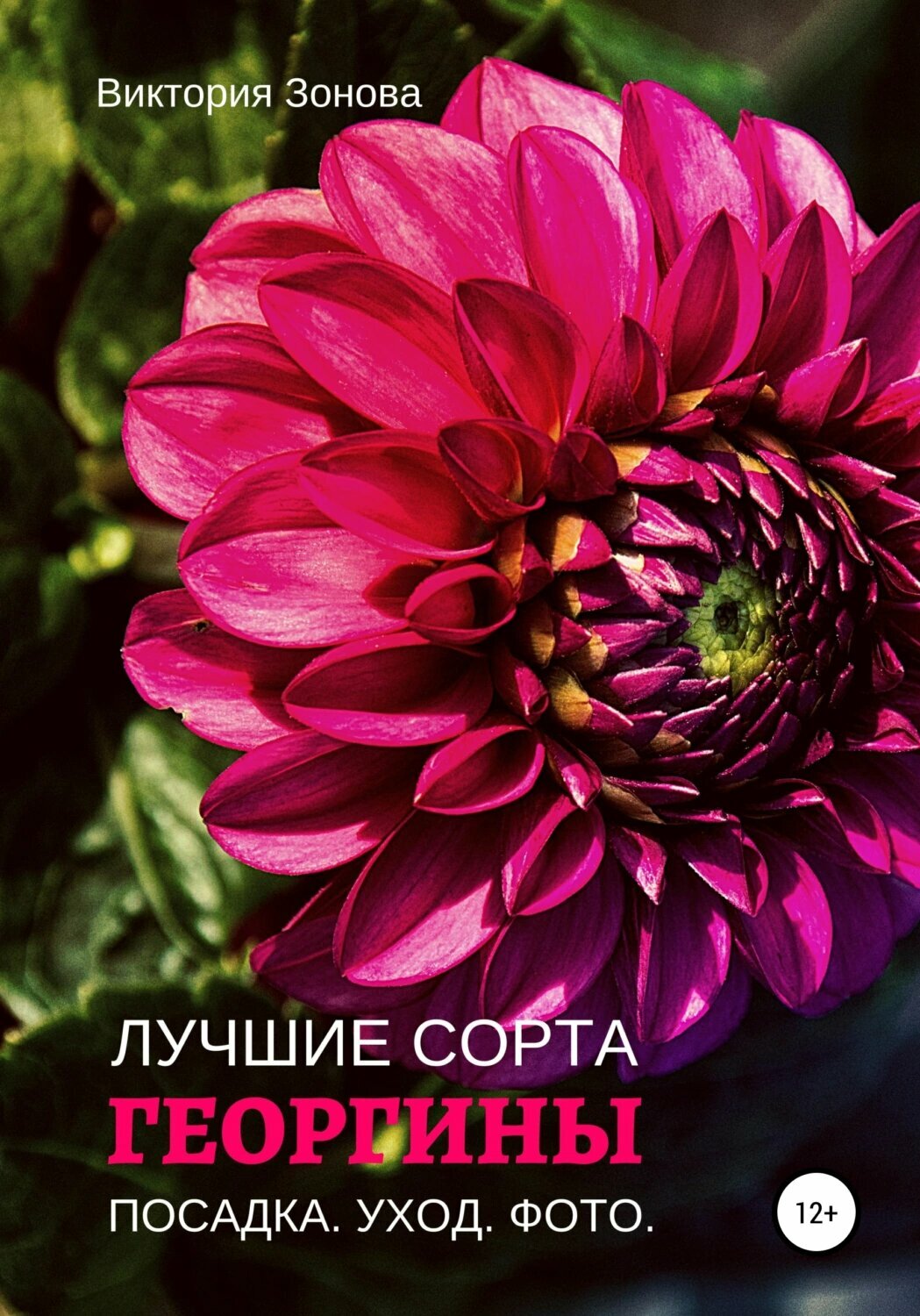 Георгины. Лучшие сорта [Цифровая книга]