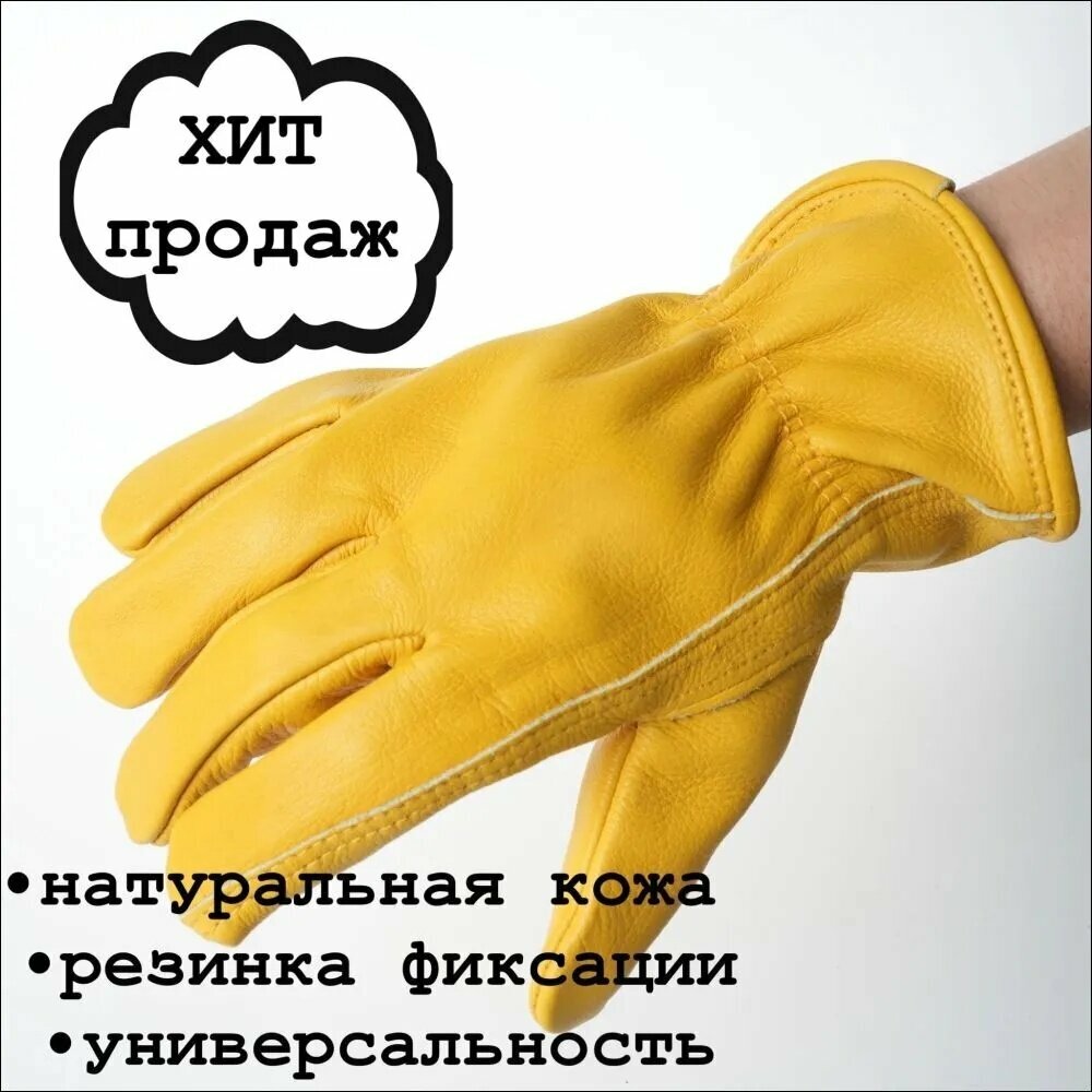 EXpert Перчатки защитные, размер: M, 1 пара