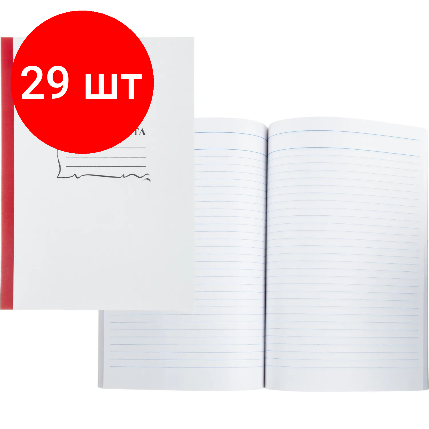 Комплект 29 штук, Книга учета 96л. в линейку, обл. картон