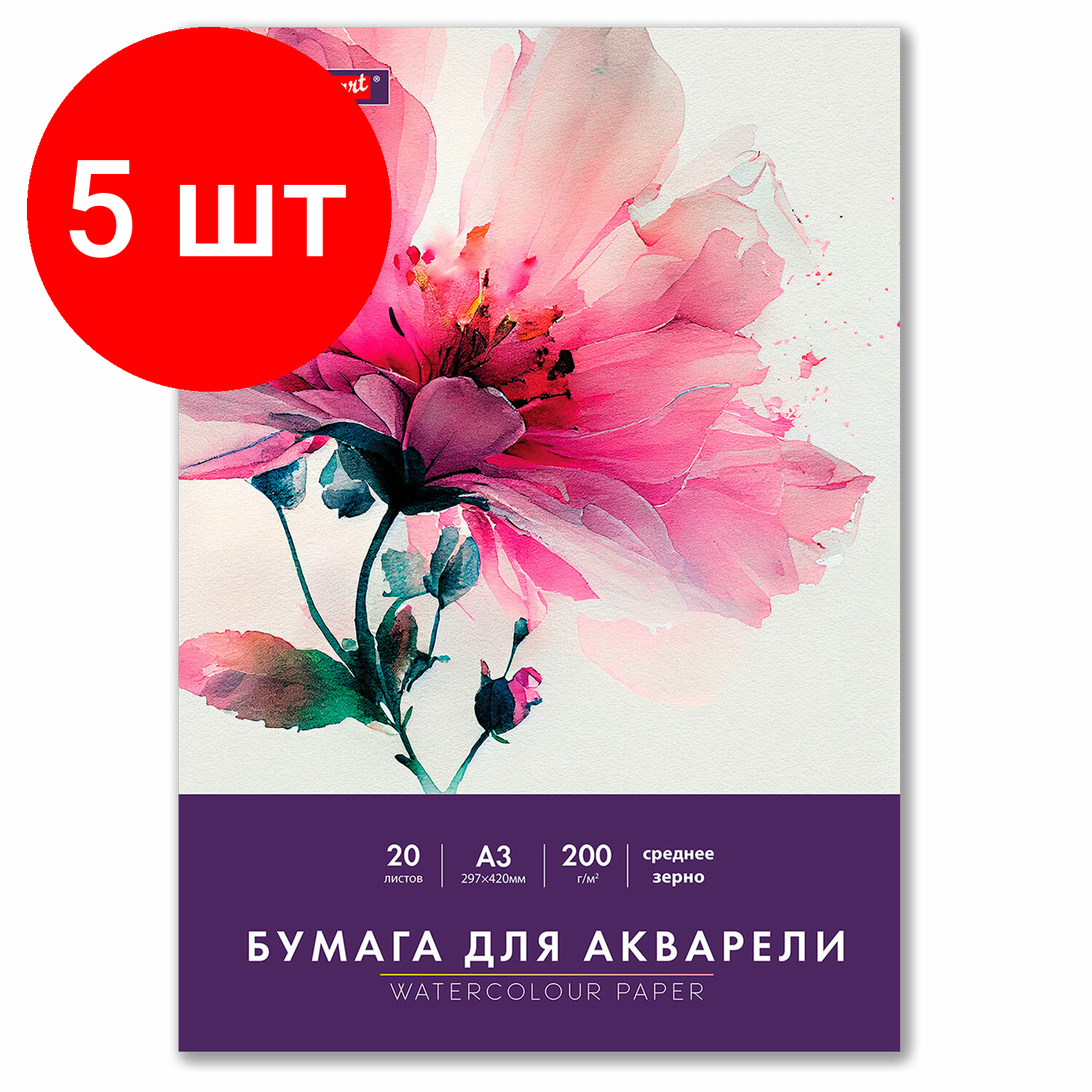 Комплект 5 шт, Бумага для акварели большая А3 в папке, 20 листов, 200 г/м2, среднее зерно, BRAUBERG ART CLASSIC, 116352