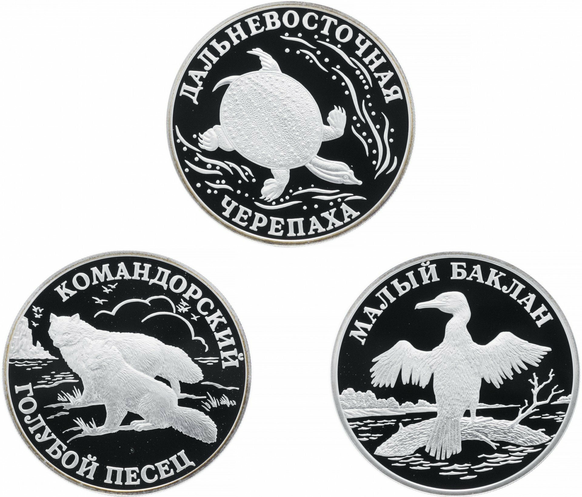 Набор из 3х монет 1 рубль 2003 СПМД Proof "Красная книга - баклан, черепаха, песец", Серебро 900
