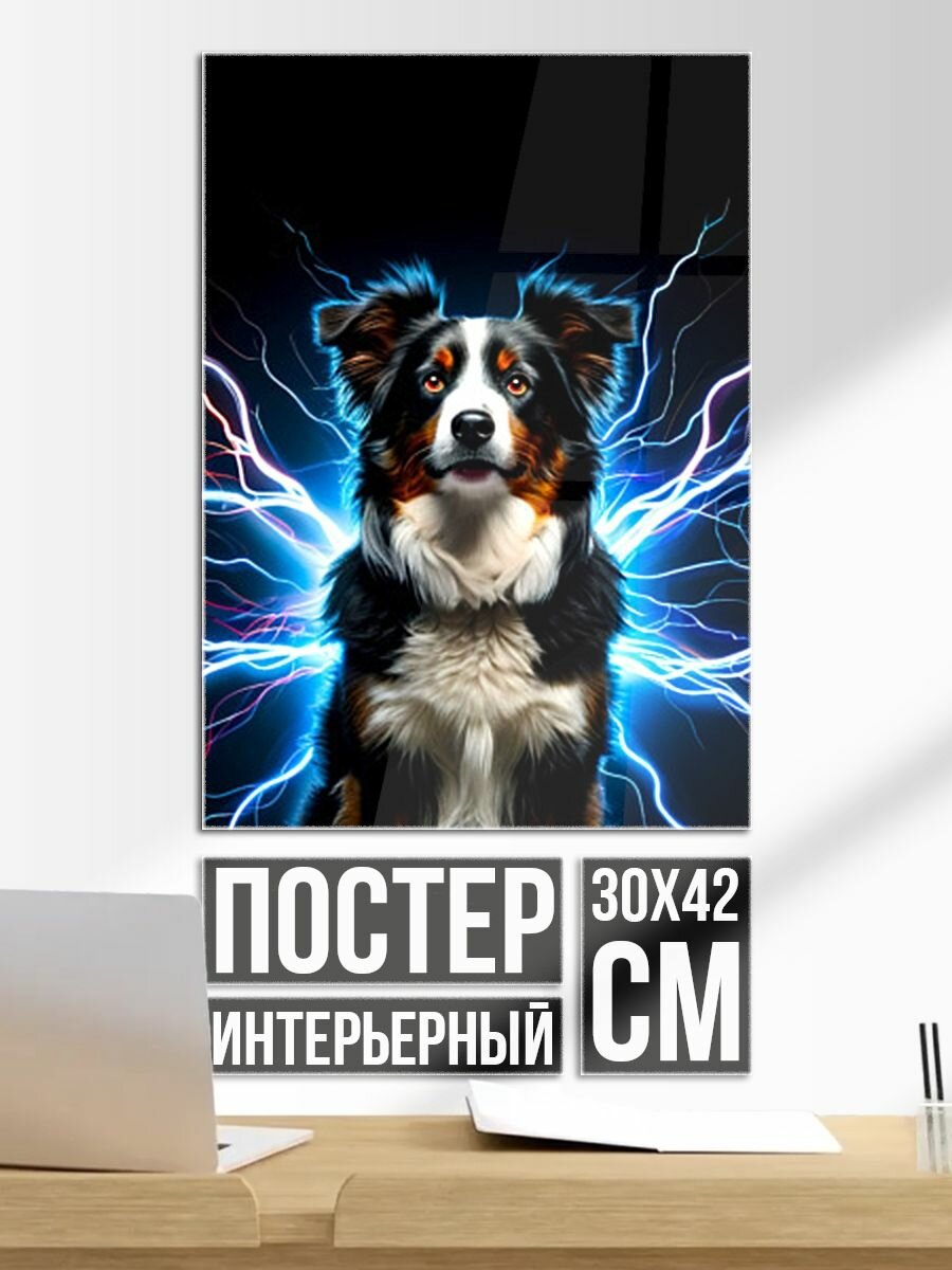 Постер на стену Бордер-колли и молния