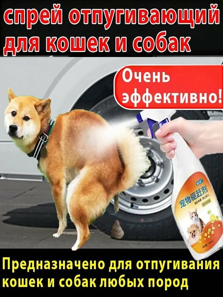 Корректор поведения для животных