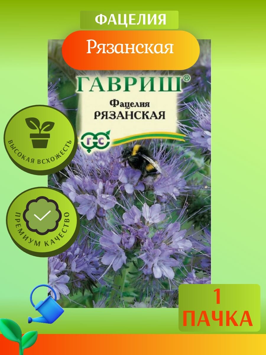 Фацелия Рязанская цв. п 20г