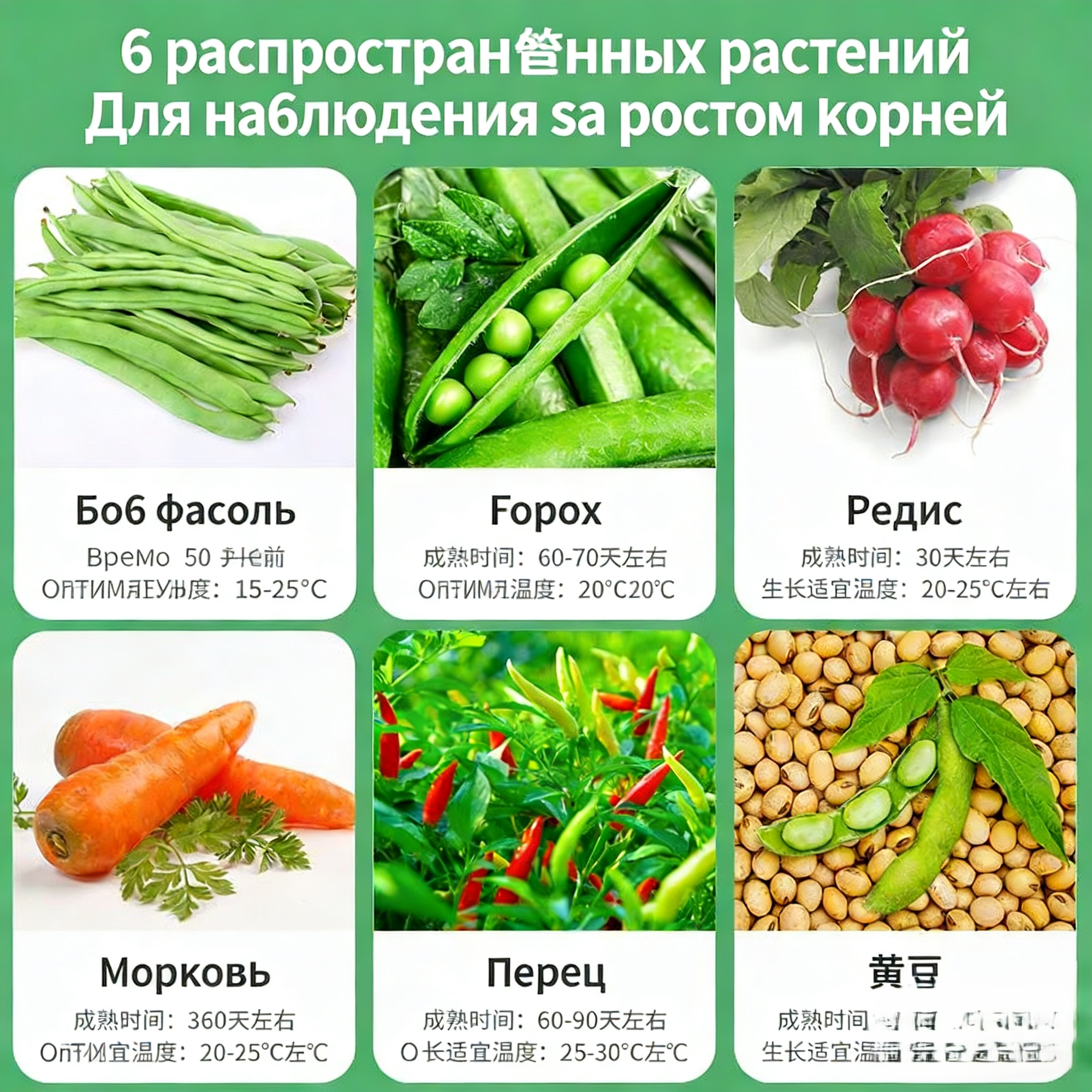 Набор для выращивания MYZDM "Мини-теплица", для детей, от 3 лет, зеленый — фото 1