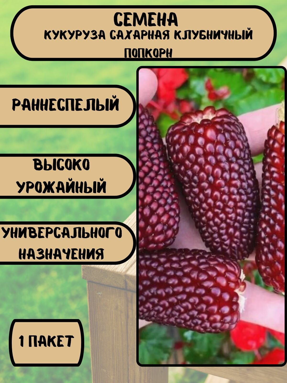 Кукуруза Клубничный попкорн, семена 10 шт