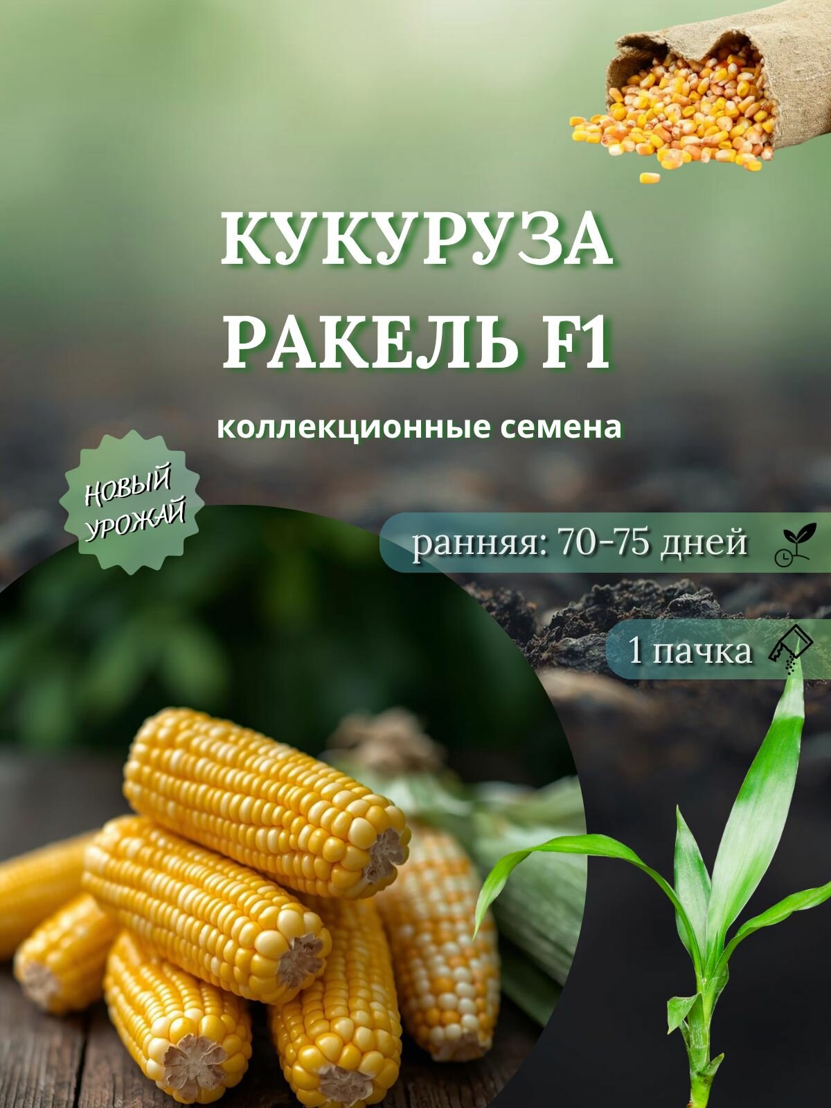 Кукуруза Ракель F1, коллекционные семена, 10 шт.