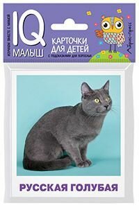 Книга "Умный малыш. Породы кошек Набор карточек для детей."