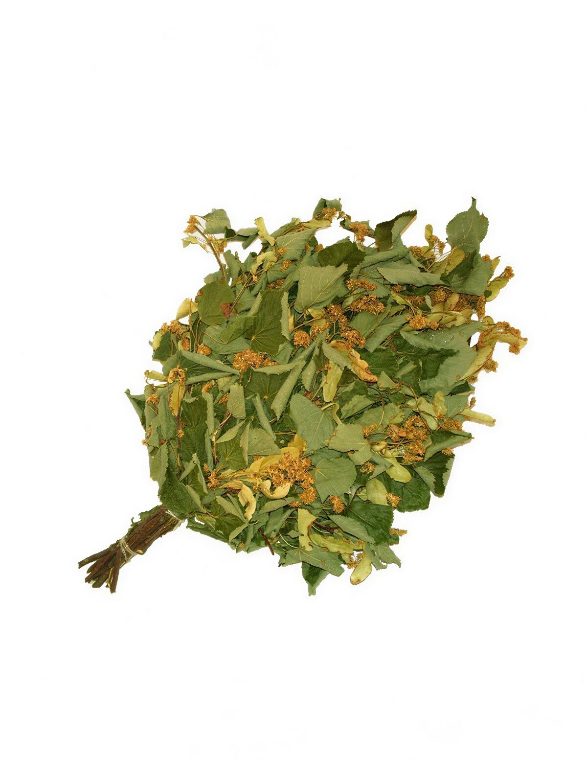 Веник для бани липовый, отборный, 60 см в индивидуальной упаковке