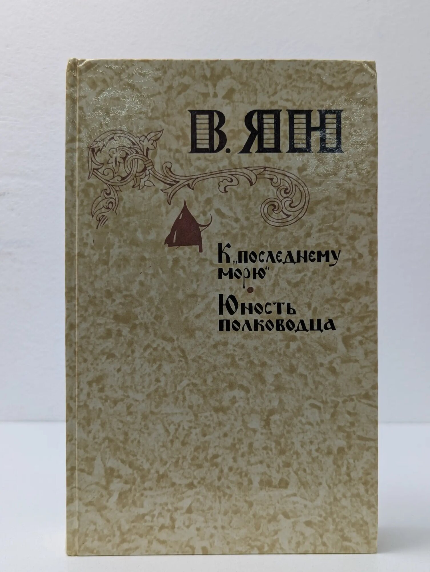 К "последнему морю". Юность полководца Ян Василий Григорьевич 1981