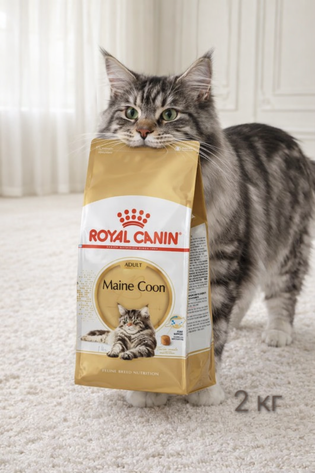 Сухой корм для кошек Royal Canin Adult породы мейн кун, 2 кг