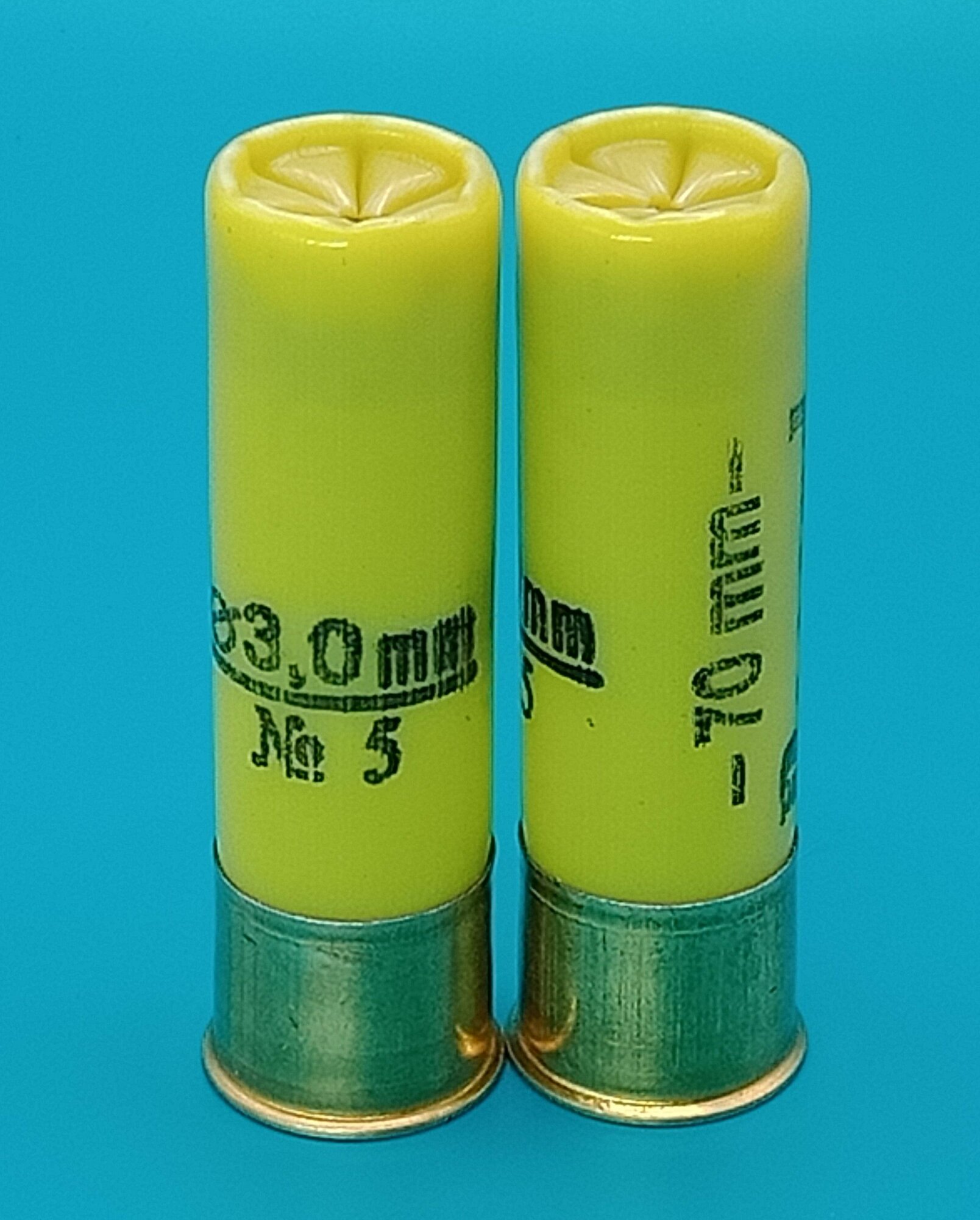 Фальшпатрон 20 калибра, 2 штуки