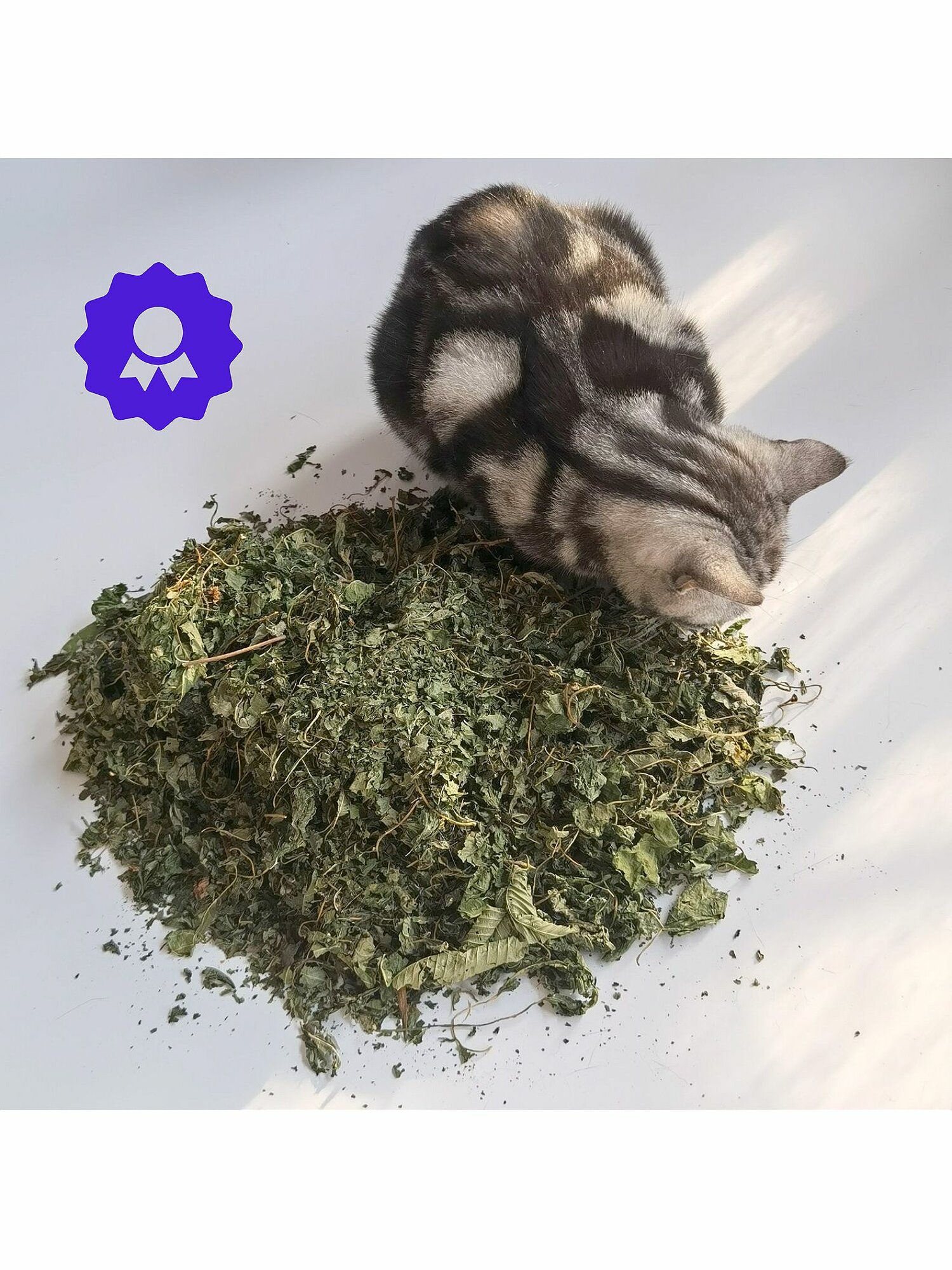 Кошачья мята 50гр