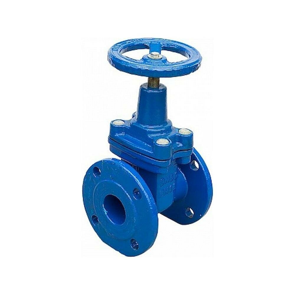 Чугунная задвижка Ci МЗВ30ч39р Ду50 Ру16 Т D040-02310