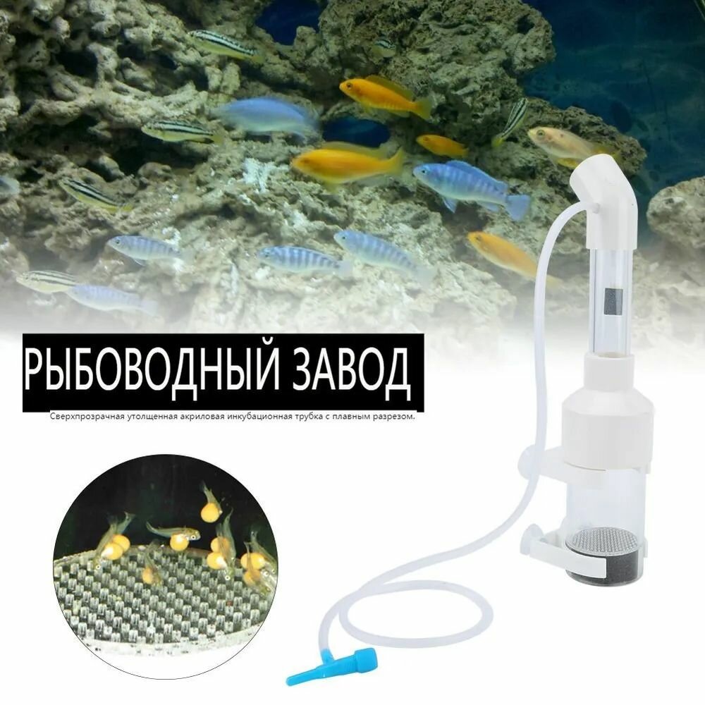 Акриловый аквариумный инкубатор цихлид AQ50025, икринки рыб вместо рта для выведения 25СМ*50ММ