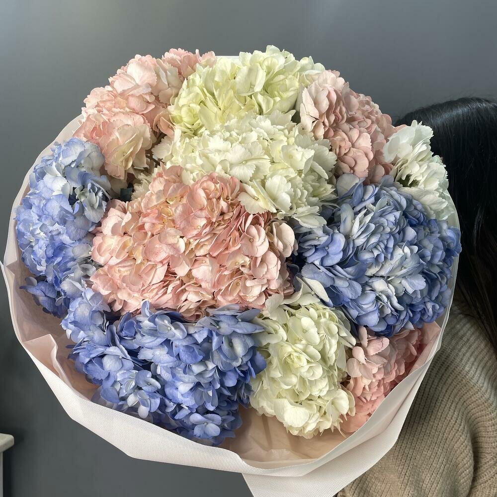 Букет живых цветов из 9 разноцветных колумбийских гортензий яркий микс в подарочной упаковке