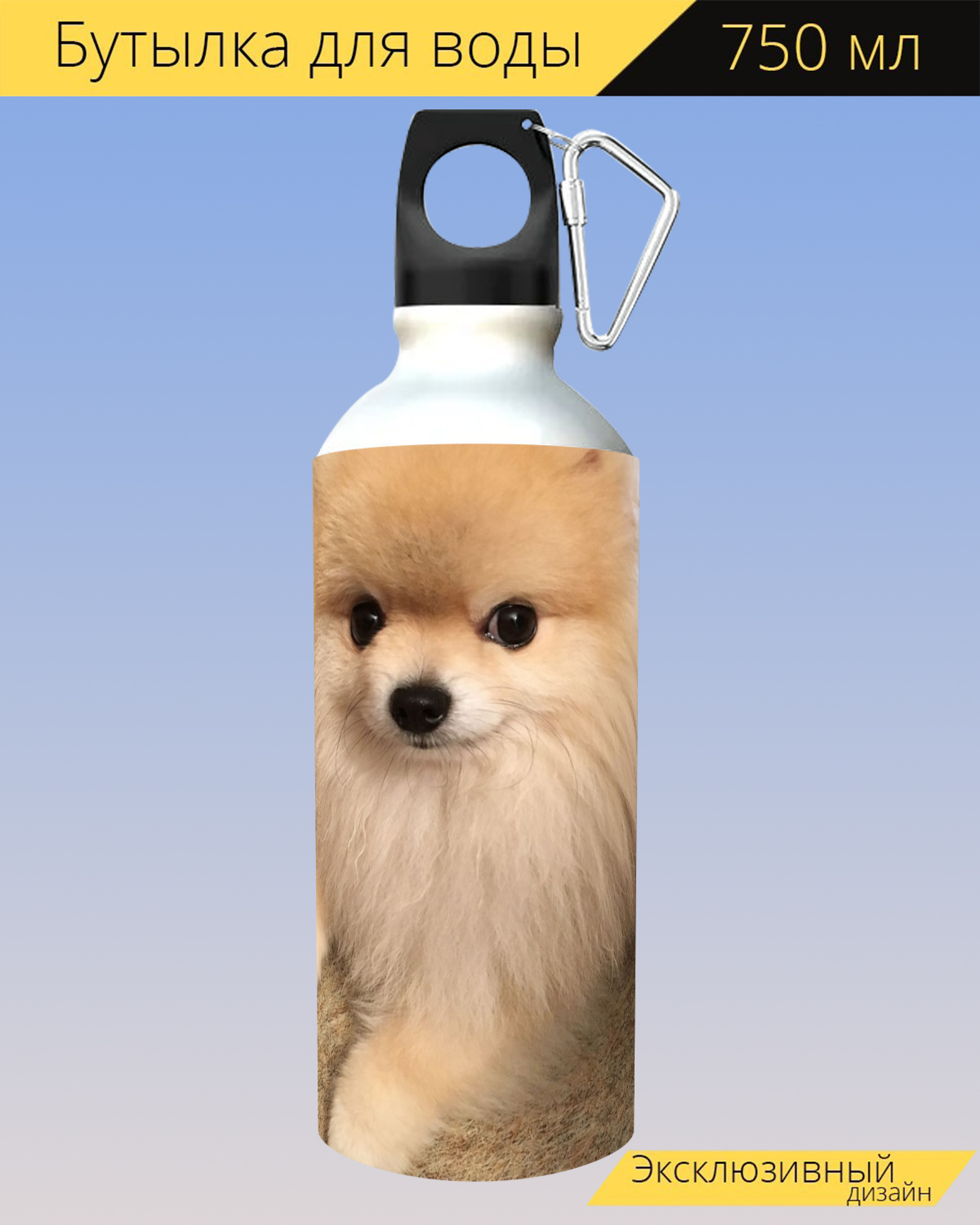 Бутылка фляга для воды "Карликовый шпиц, домашнее животное, маленькая собака" 750 мл. с карабином и принтом