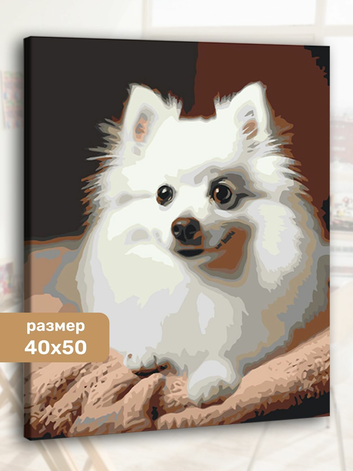 Картина по номерам на холсте и подрамнике Шпиц 40х50