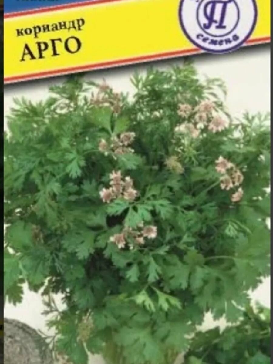 Кинза (Кориандр) Арго, (РС-1) 1 г, Семена Престиж