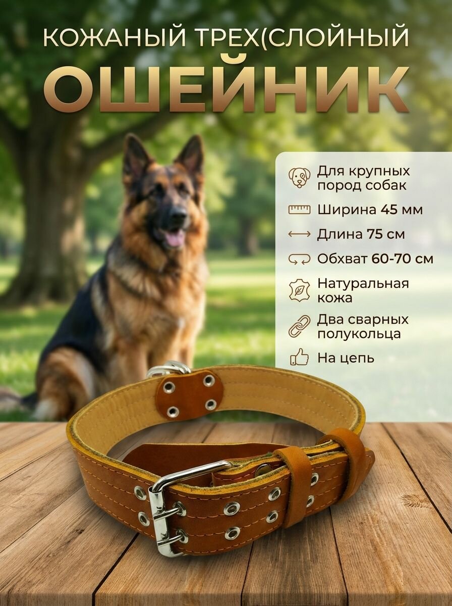 Кожаный ошейник для собак, трехслойный. Ширина 45мм. Длина 60-70 см. Ошейник из натуральной кожи для крупных собак.