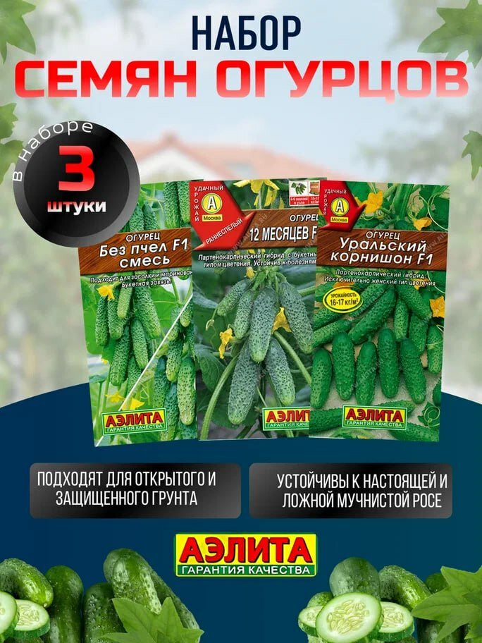 Набор семян огурцов 3 штуки: Уральский корнишон F1, Без пчел F1, 12 месяцев F1