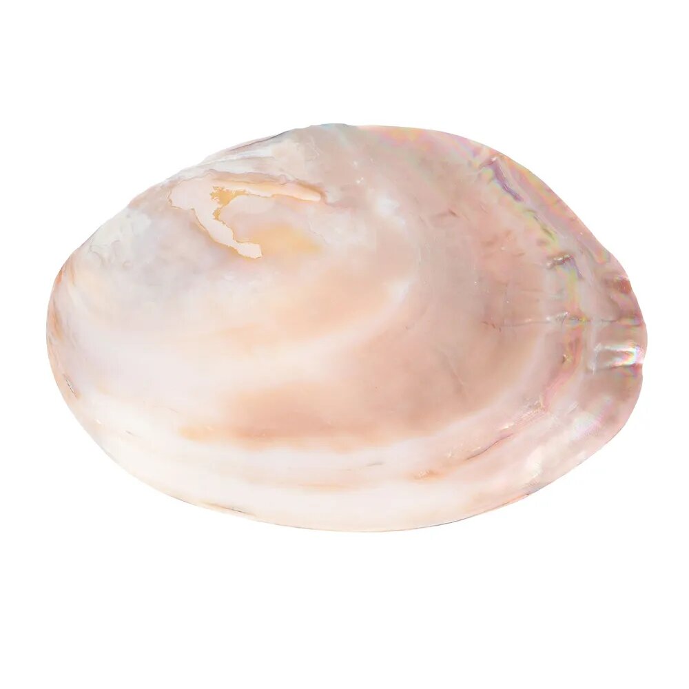 Блюдо для холодца, 1 шт Beige