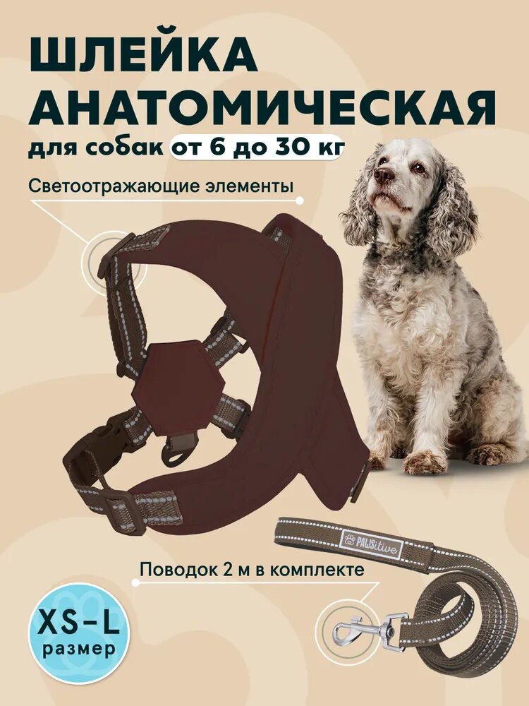 Шлейка PAWSitive / Для собак мелких и средних пород размер S / Анатомическая c поводком 2 м