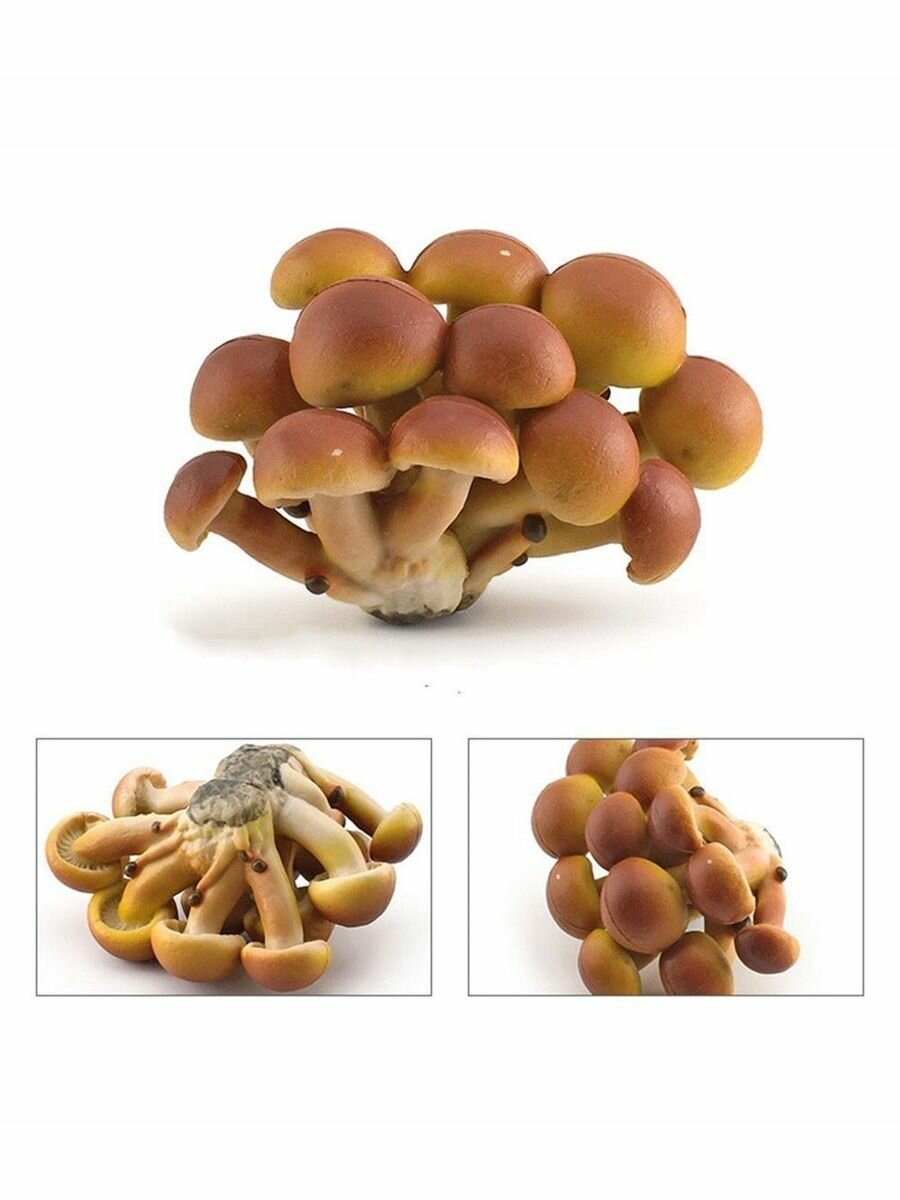 Фигурки грибов