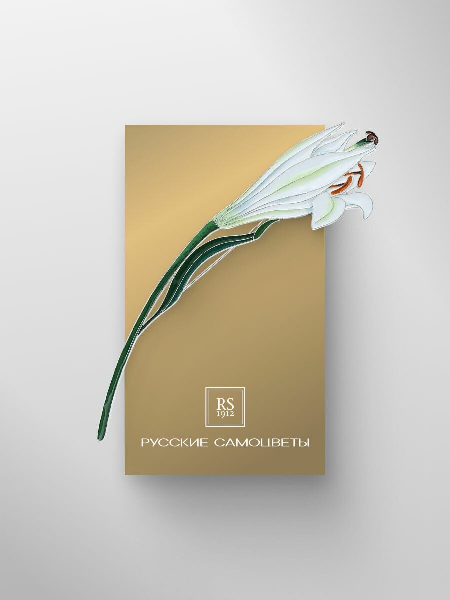 Брошь, серебро, 925 проба, эмаль