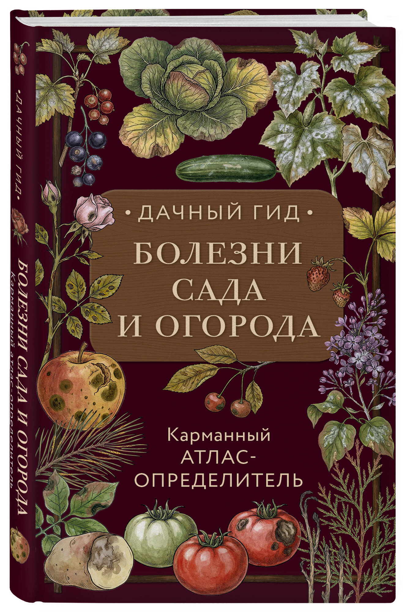Болезни сада и огорода: Карманный атлас-определитель
