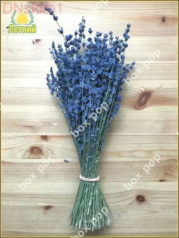 Сухоцветы Лаванда, 30 см, 60 гр, 1 шт