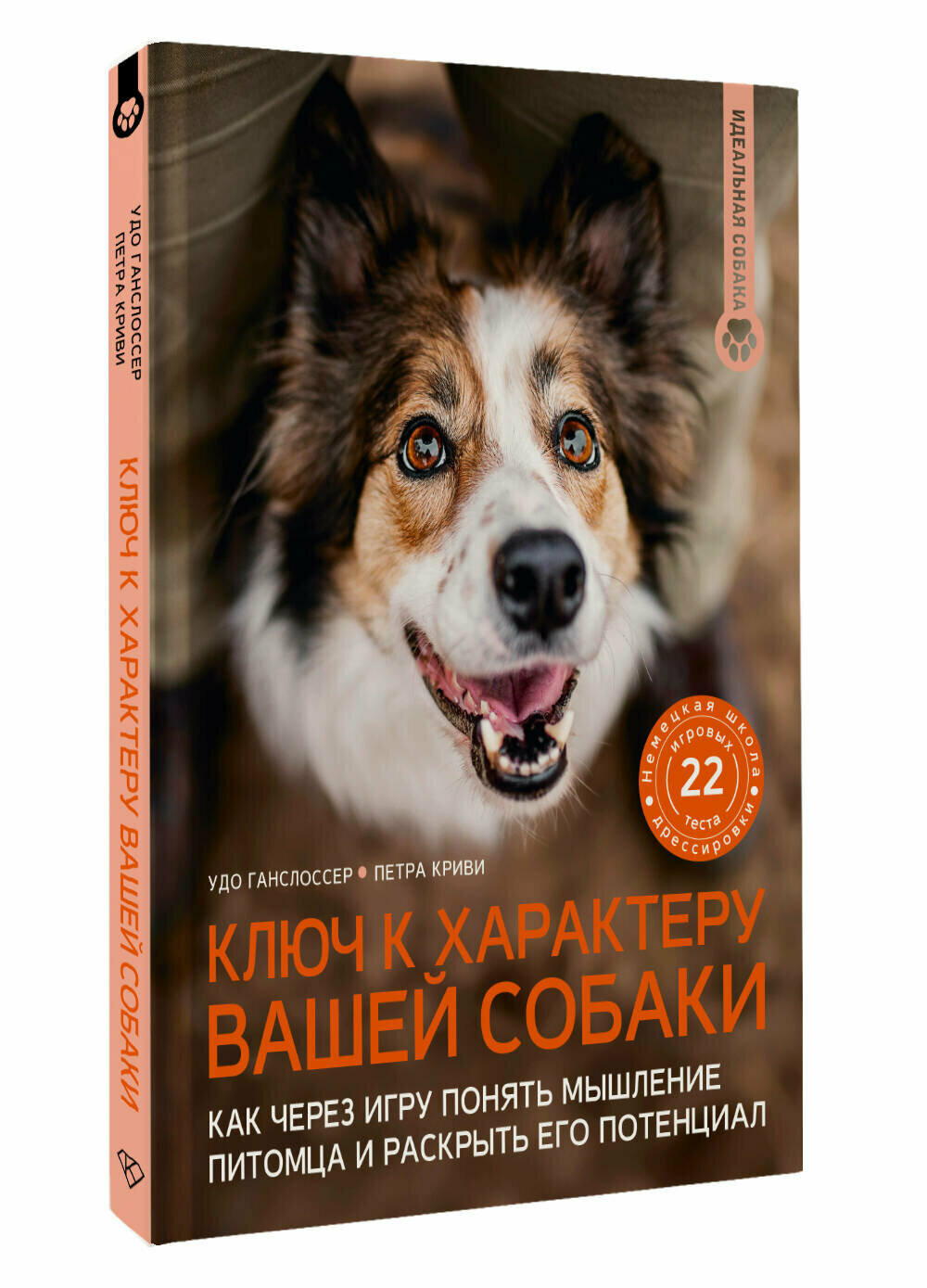 Ключ к характеру вашей собаки. Как через игру понять мышление питомца и раскрыть его потенциал Удо Ганслоссер
