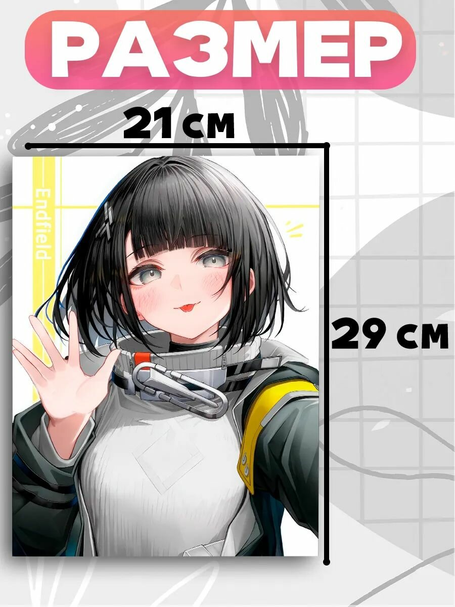 Постер на стену Arknights Endfield , плакат 1шт, А4 размер. — фото 1