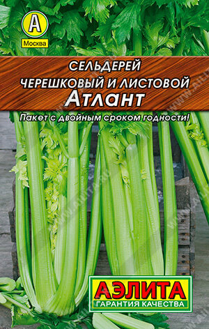 Сельдерей черешковый и листовой Атлант