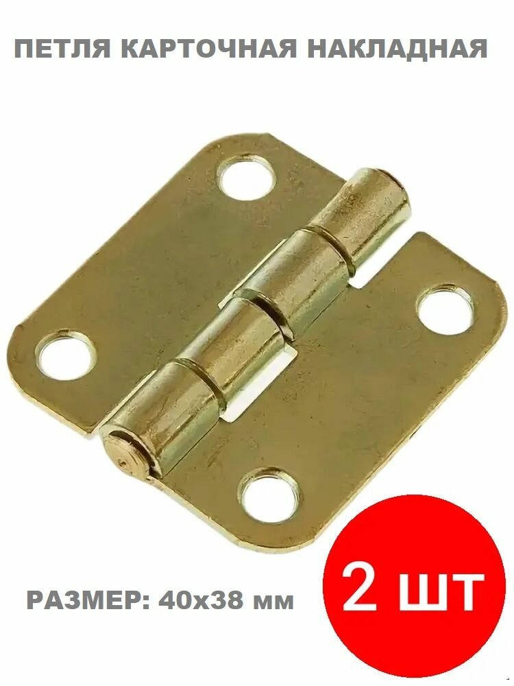 Петля карточная 40х38 ПН5-40