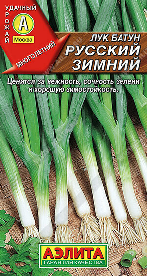 Семена лука батуна аэлита "Русский зимний", многолетние, 0.5 г