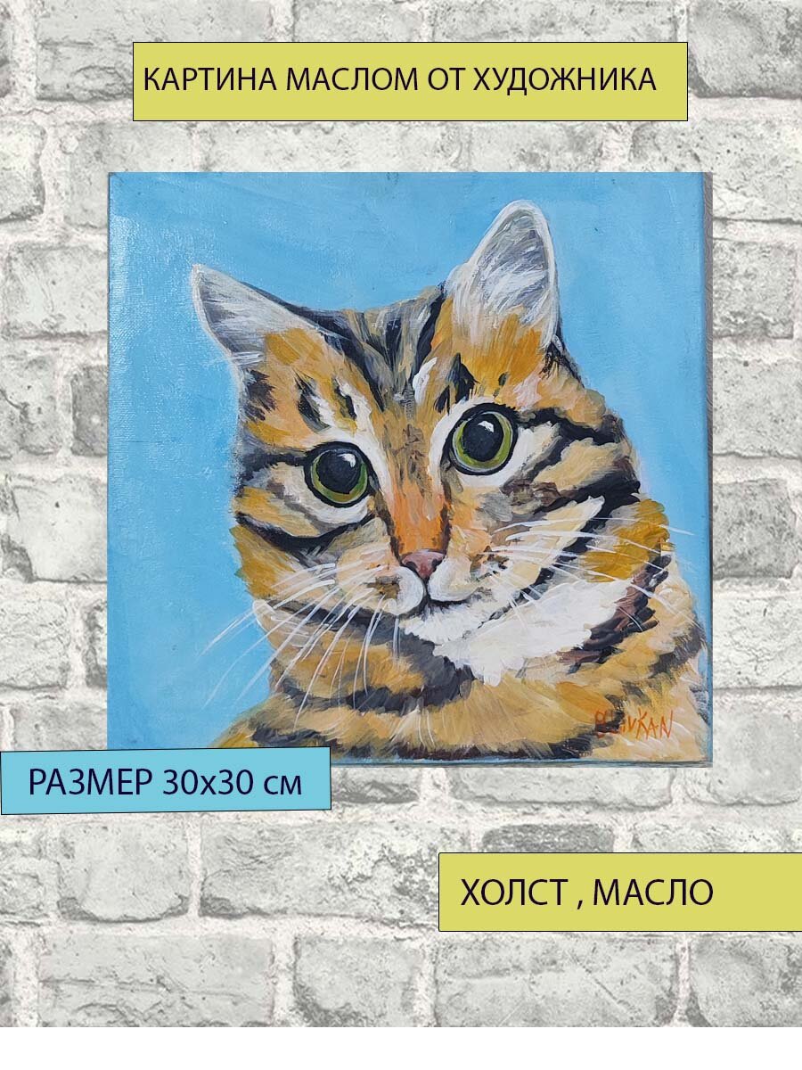 Картина Кот, Котенок живопись, масло, холст, 30х30 см
