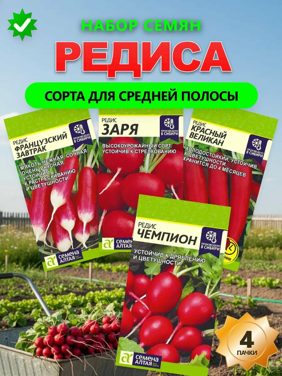 Набор семян редиса для Средней полосы, 4 сорта, Семена Алтая