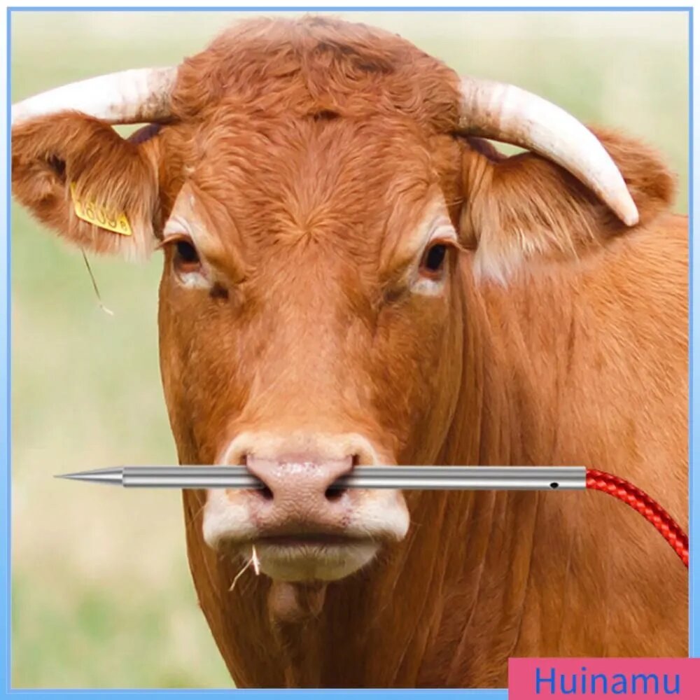 Игла для прокола коровьего носа, из нержавеющей стали, удобная и прочная для домашнего использования