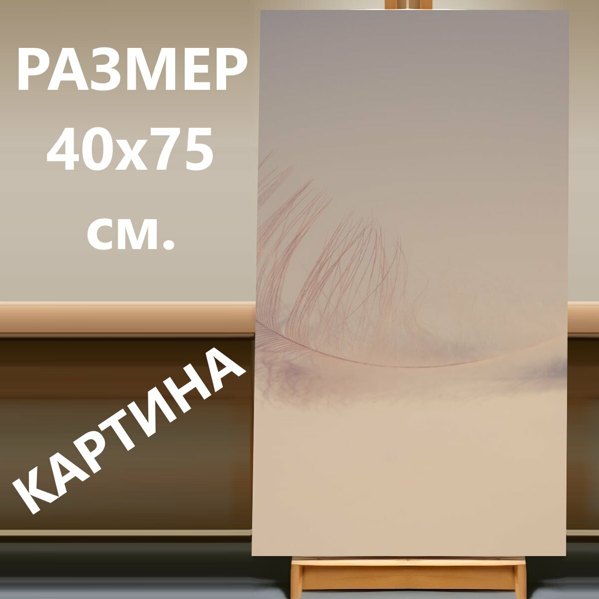 Картина на холсте "Перо, мягкий, милая" на подрамнике 75х40 см. для интерьера