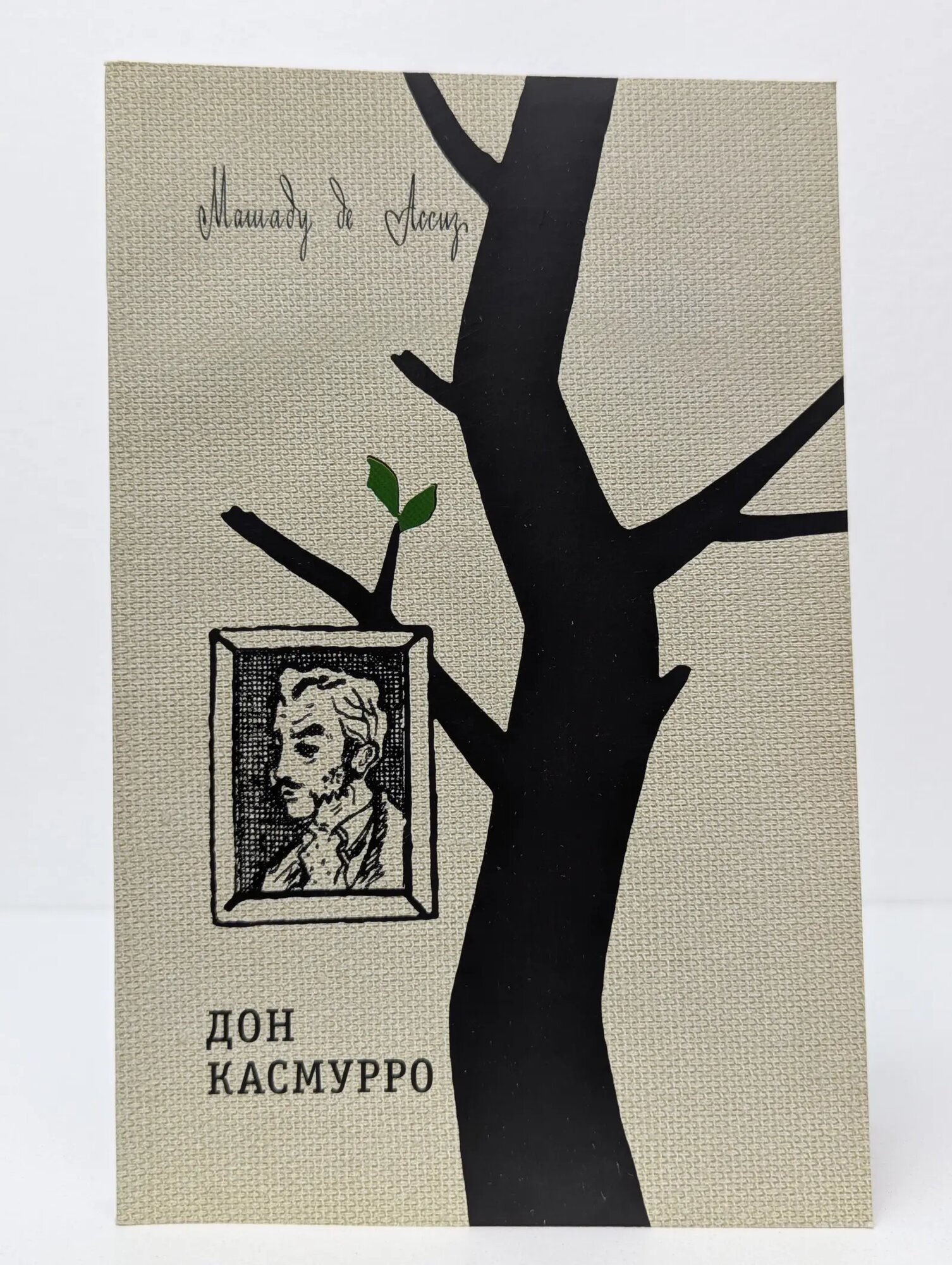 Дон Касмурро де Ассиз Машаду 2015