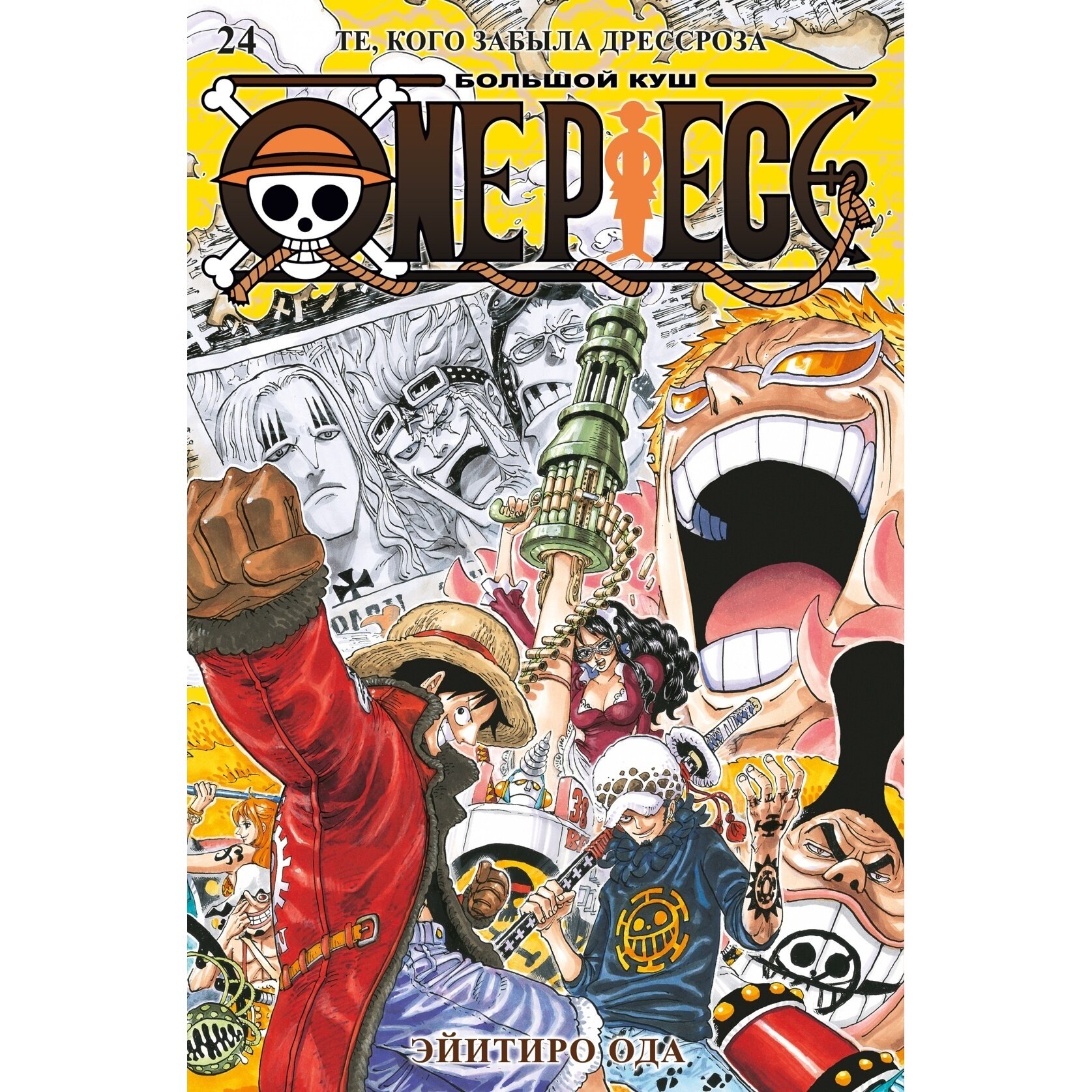 One Piece. Большой куш. Книга 24. Те, кого забыла Дрессроза