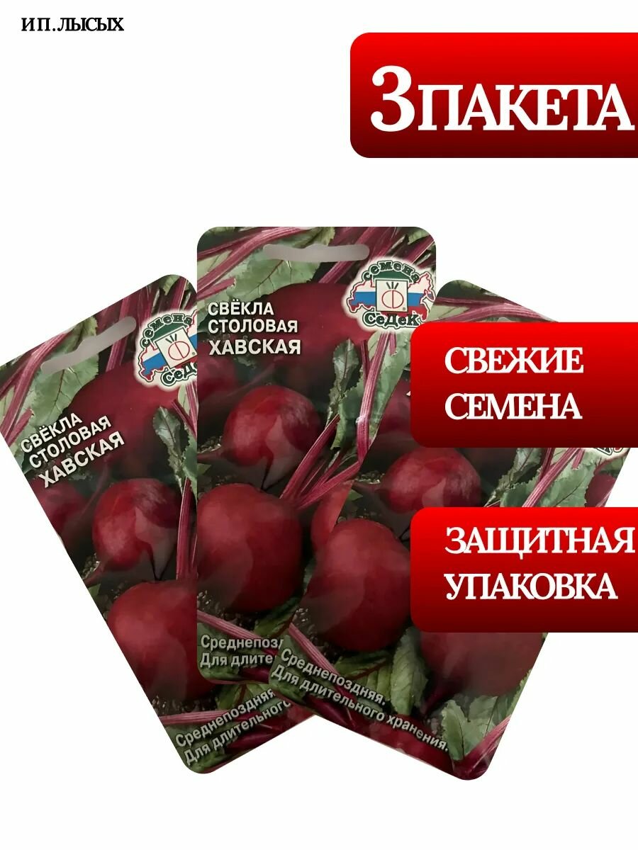 Семена Свекла "Хавская"