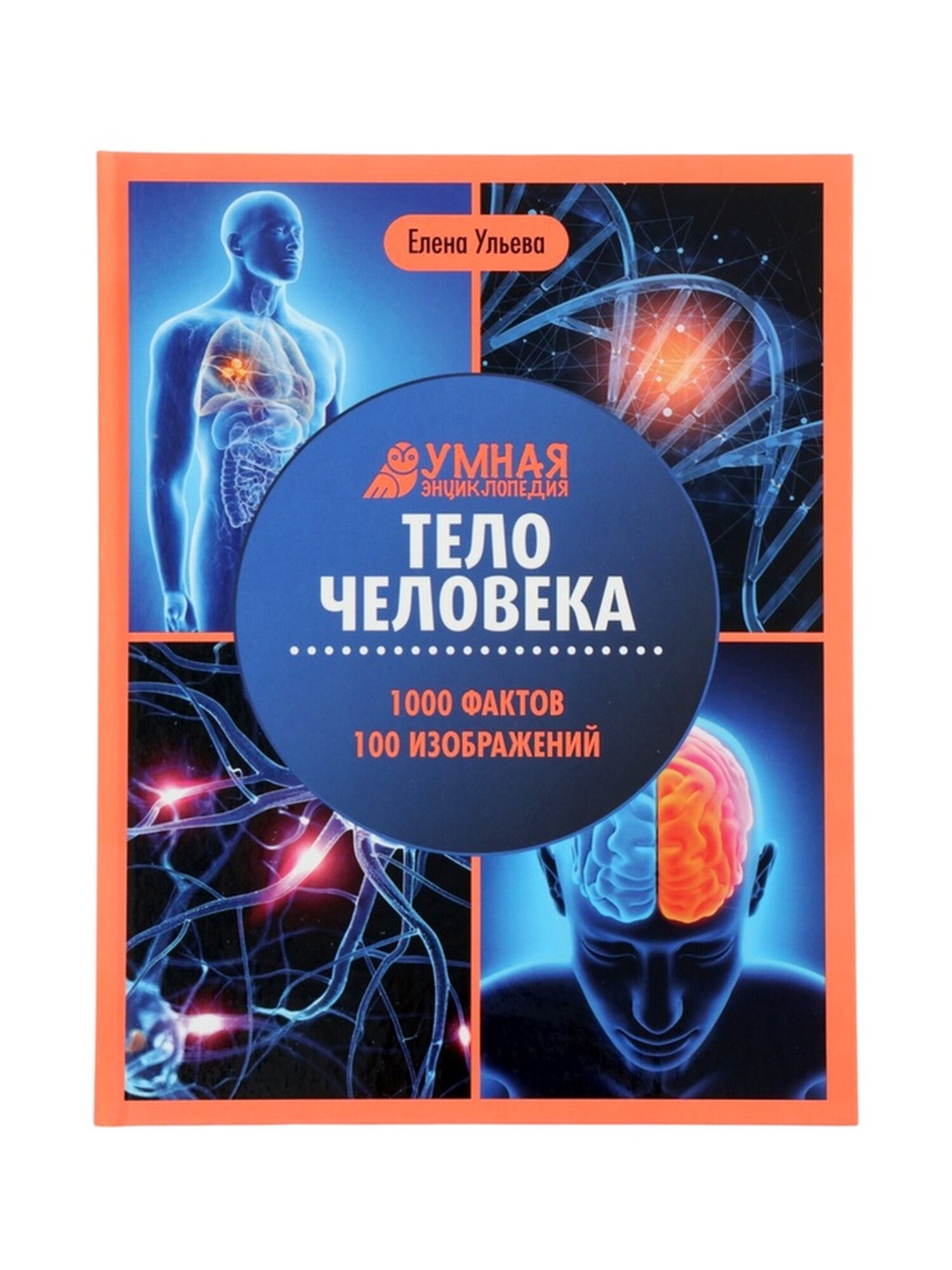 Энциклопедия Ульева Е. А. "Тело человека", Феникс, 2026 г, 96 стр, твердый переплет