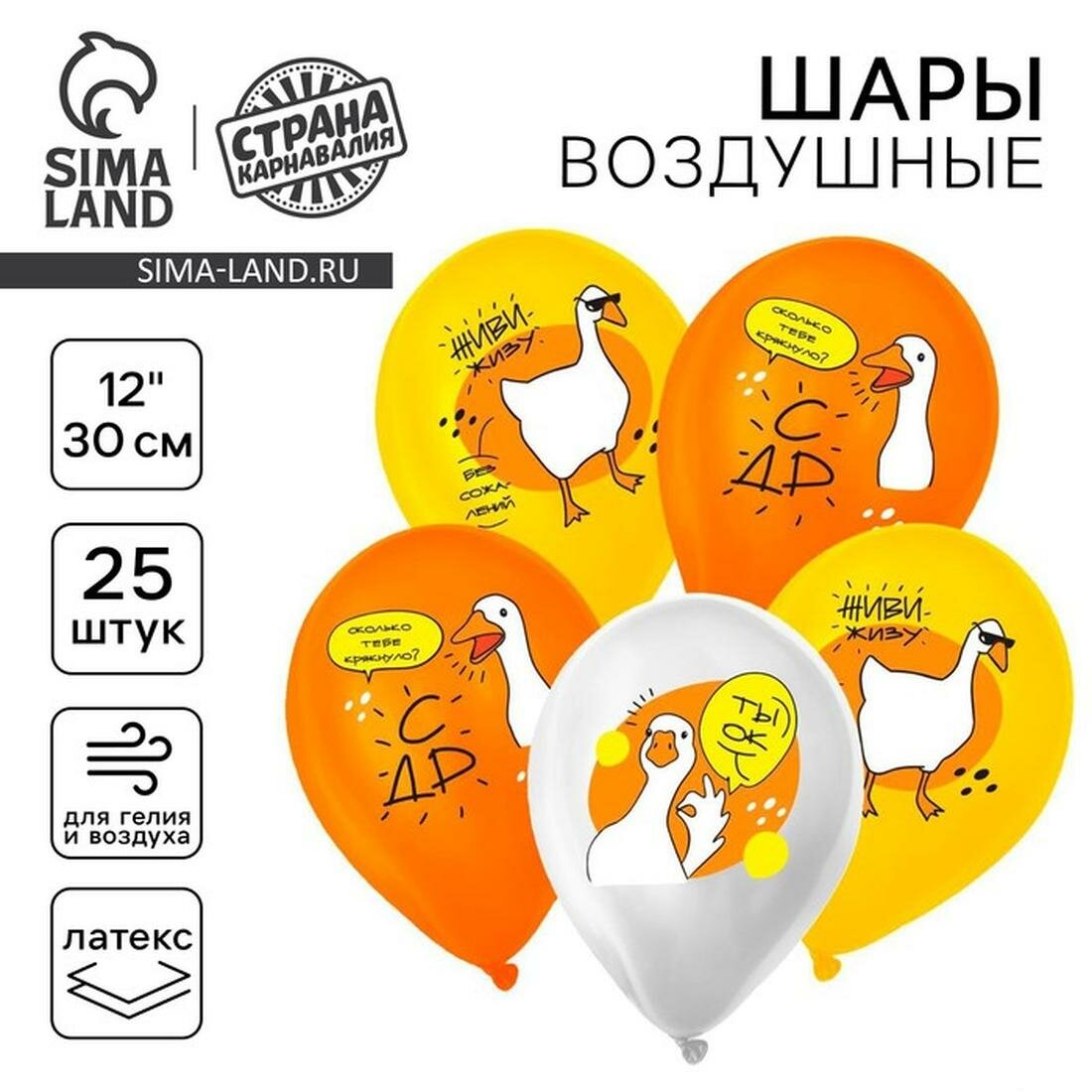Набор воздушных шаров Страна Карнавалия «С ДР», латекс, 12", 25шт